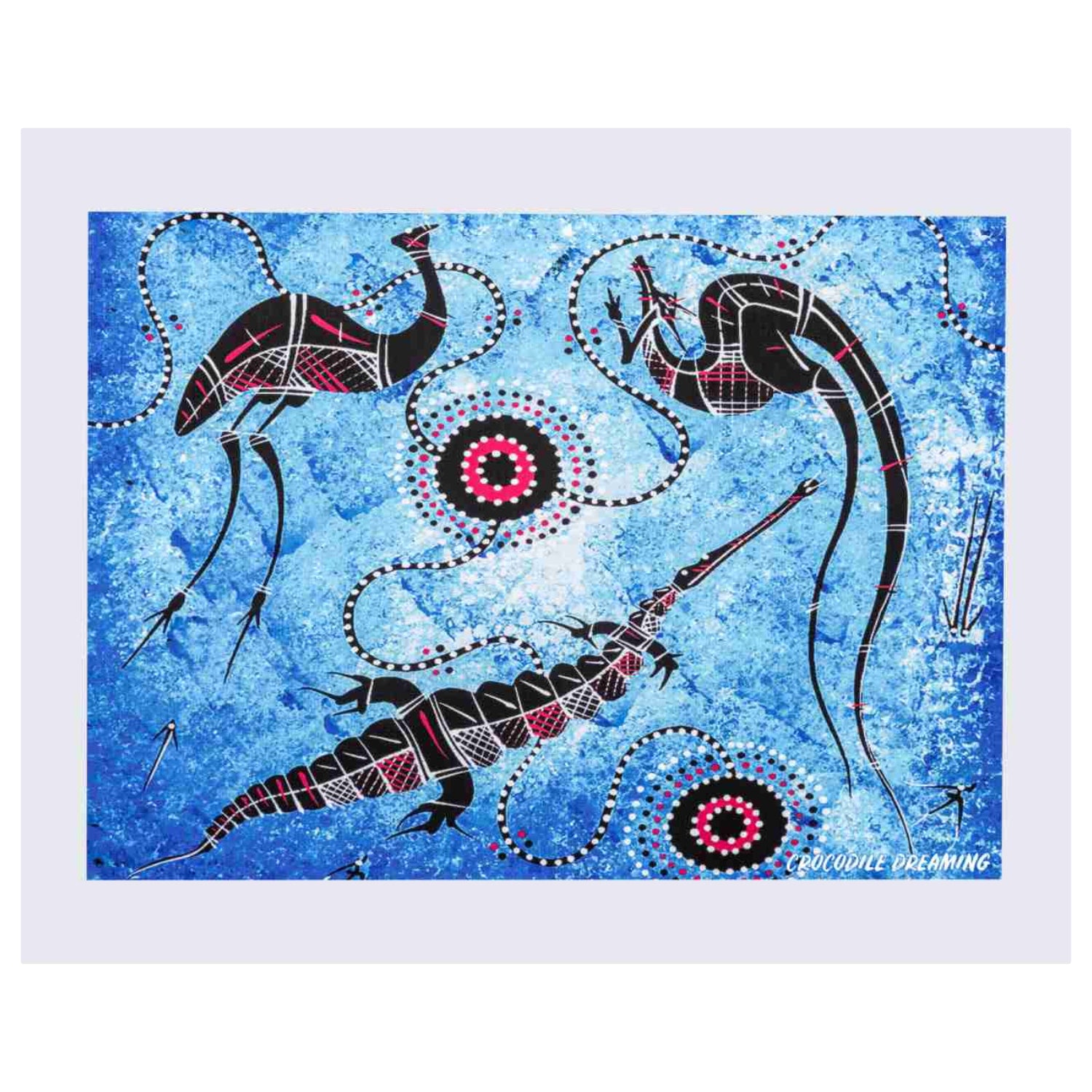 ABORIGINAL ART - FRAMED - 80cm x 80cm - BLOSSOMS - INDIGENOUS, SOUVENI ...